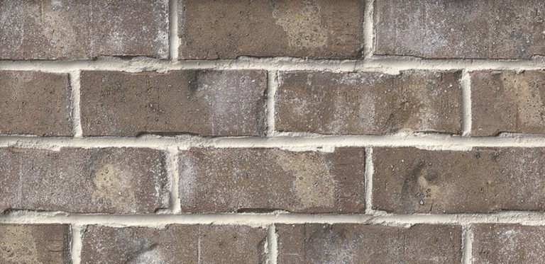 Mosswood - Columbus Brick